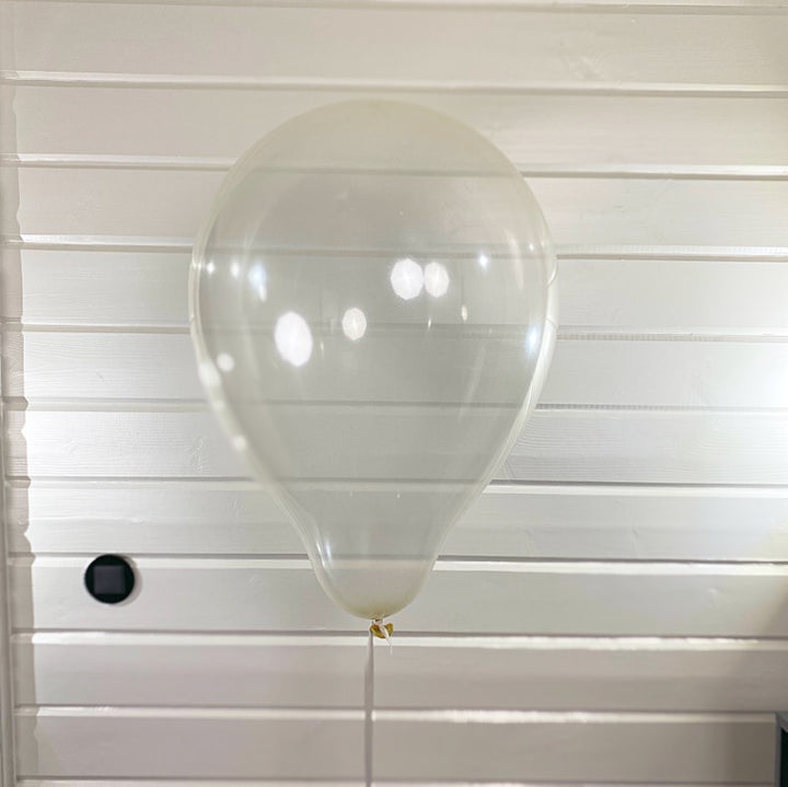 WB24 Short Neck Balloons – 59Balloons