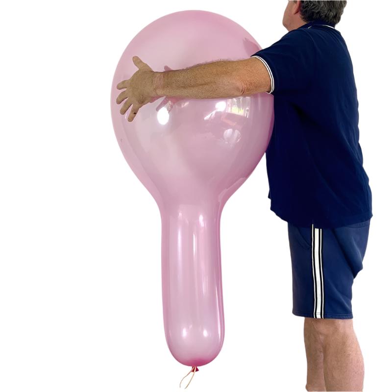 WB28 Long Neck Balloons – 59Balloons